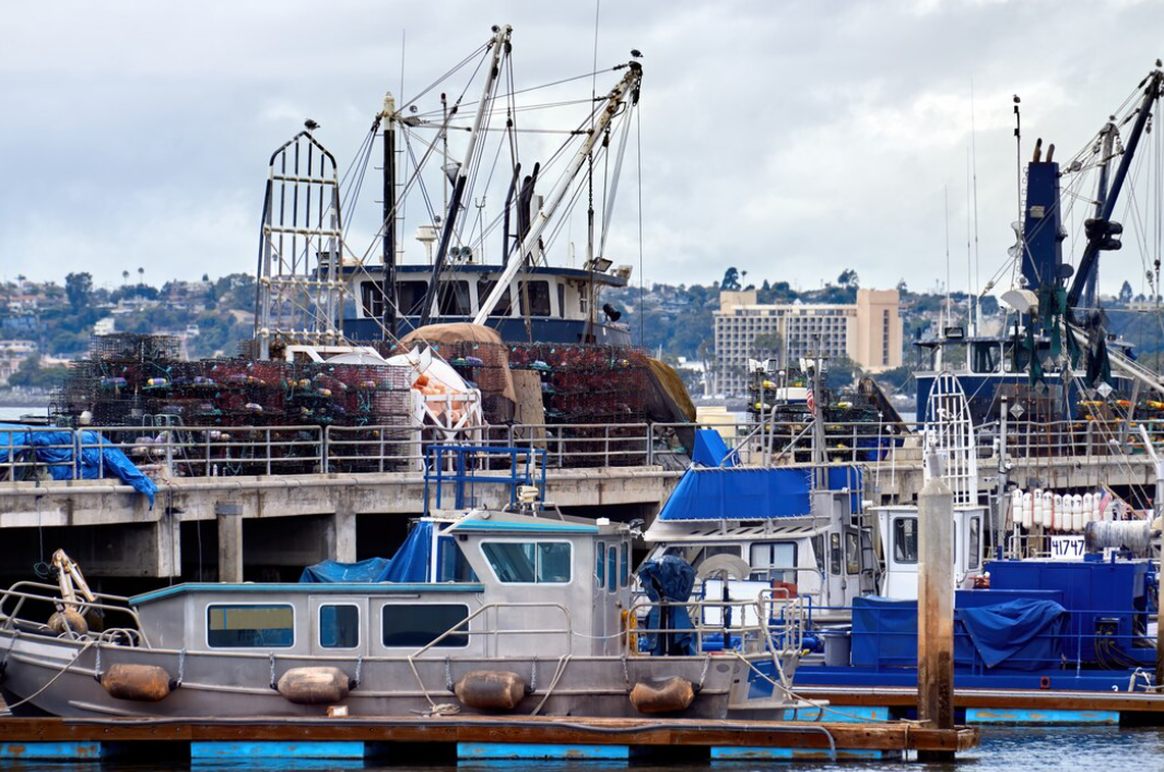SHIP ARREST:PROCEDURE FOR PROVISIONAL RELEASE IN CAMEROON - Prime Time ...